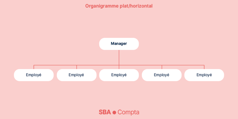 Organigrammes d'entreprise: Types, utilité et création