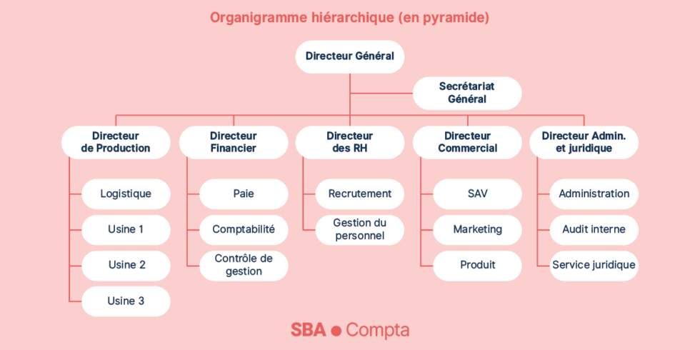 Organigrammes d'entreprise: Types, utilité et création